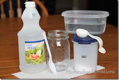 Penny Baths ~ Science Sunday